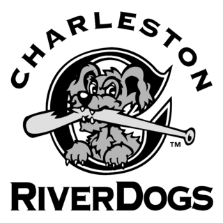 Charleston RiverDogs Logo Black and White – Brands Logos
