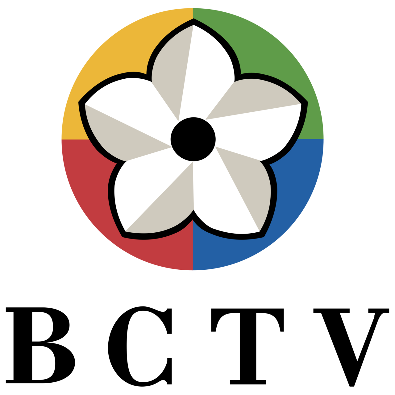 BCTV Logo PNG Transparent – Brands Logos