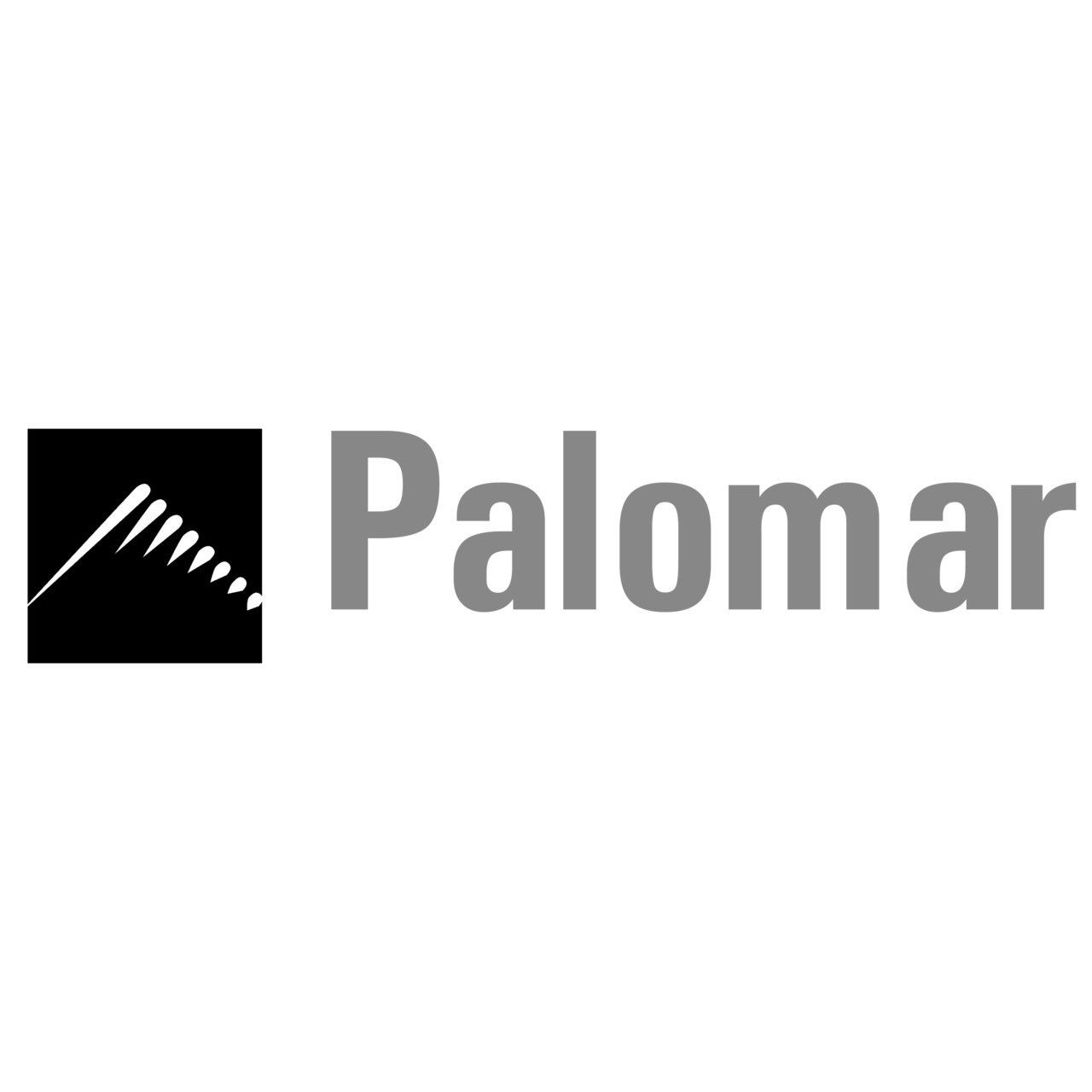 Palomar Logo Black and White – Brands Logos