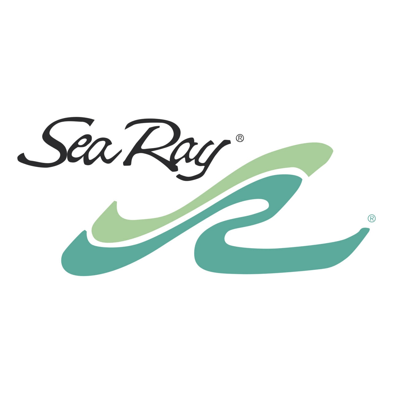 Sea Ray Logo PNG Transparent (1) – Brands Logos