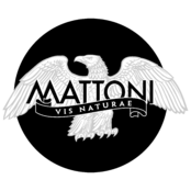 Mattoni Logo Vector – Brands Logos