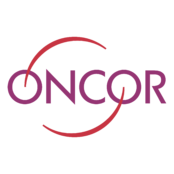 Oncor Logo Vector – Brands Logos